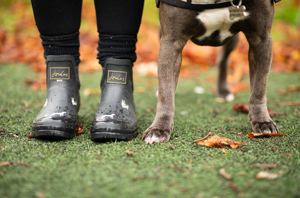 BSc (Hons) Canine Clinical Behaviour (Top-Up) | University Centre Reaseheath