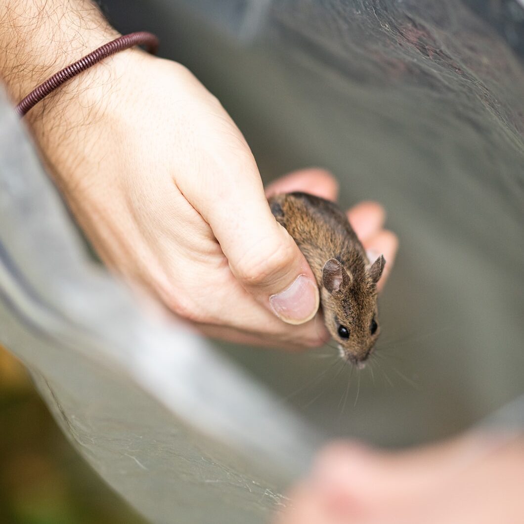 Environment & Conservation Sciences | University Centre Reaseheath