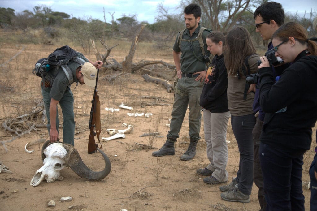 BSc (Hons) in Applied Zoology | University Centre Reaseheath