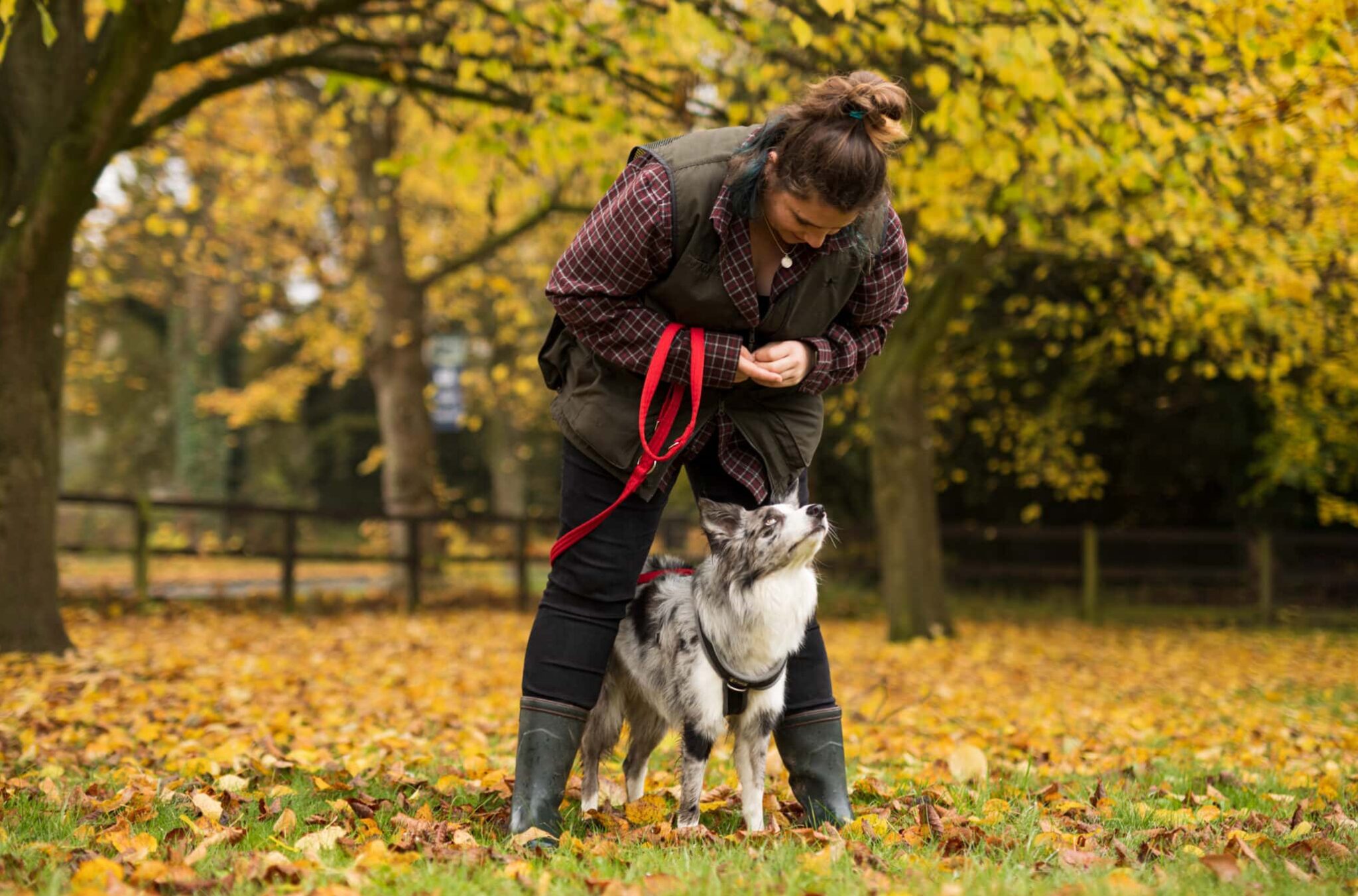Access to Higher Education Diploma (Animal Science) - University Centre Reaseheath