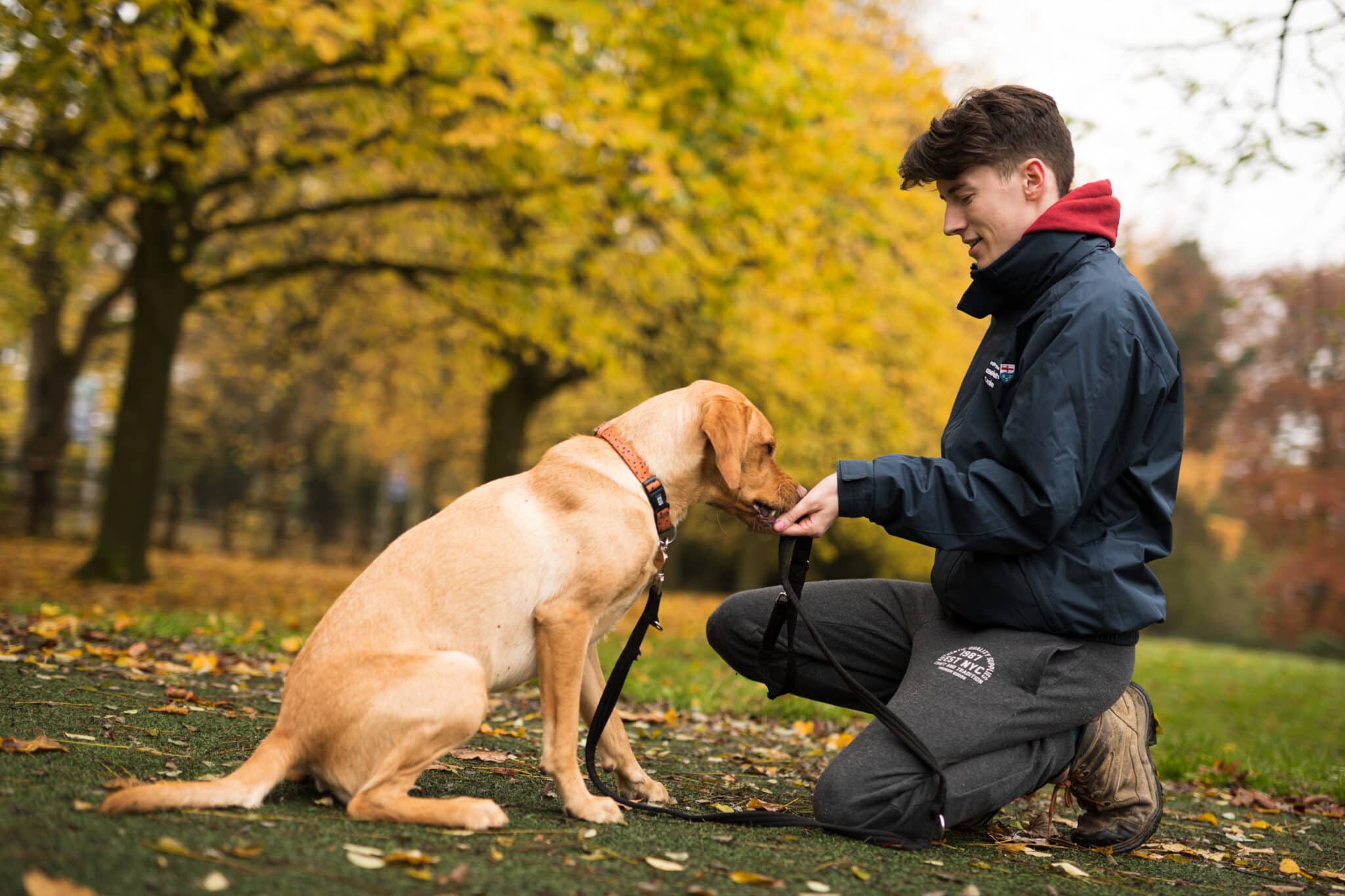 Cert HE Canine Behaviour and Training - University Centre Reaseheath