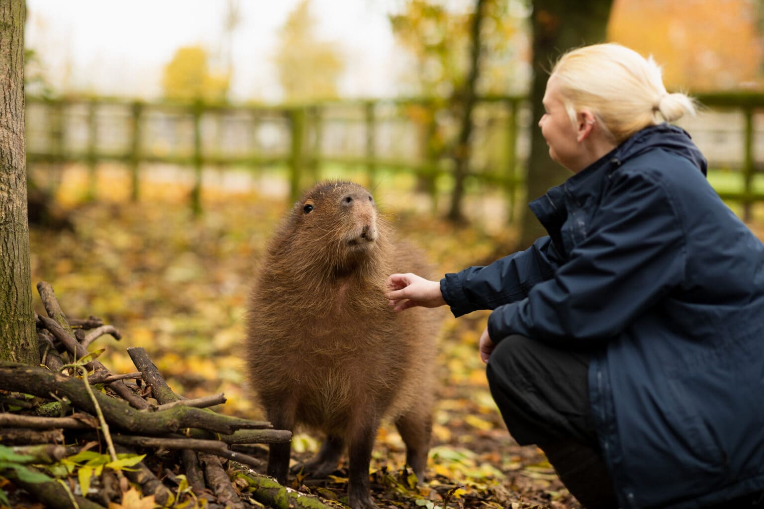 Animal Science | University Centre Reaseheath
