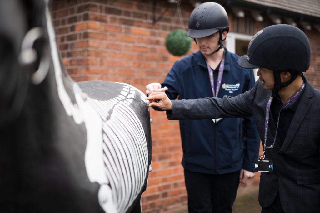 Equine Science | University Centre Reaseheath