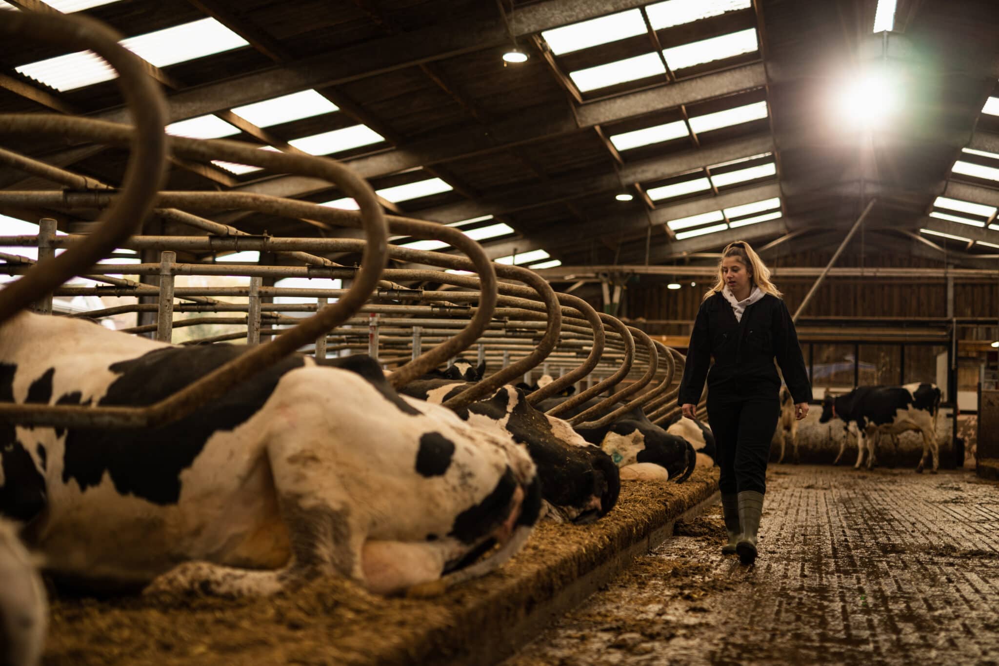 Campus & Facilities - University Centre Reaseheath