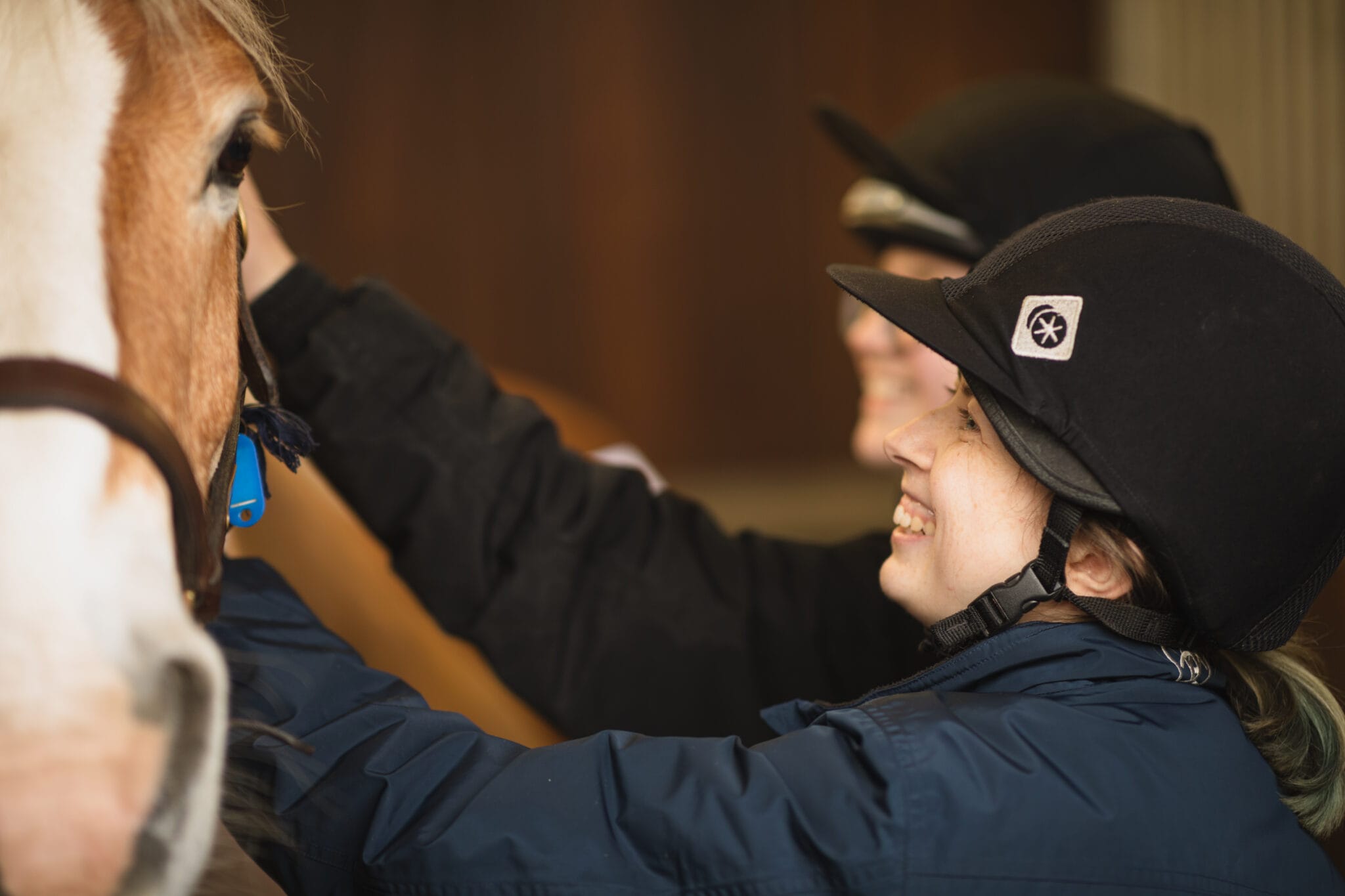 Foundation Degree in Equine Training and Rehabilitation | University Centre Reaseheath