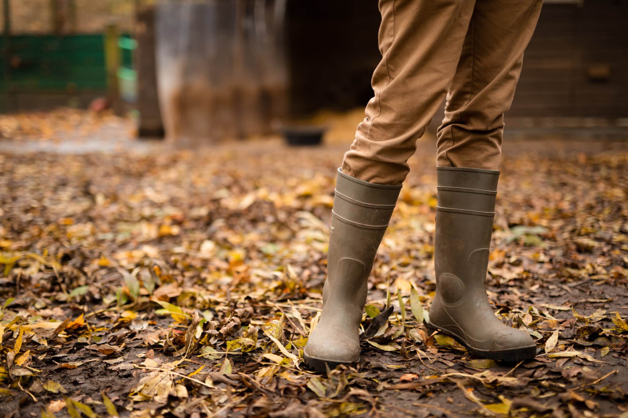 BSc (Hons) Sustainable Agriculture Top-up | University Centre Reaseheath