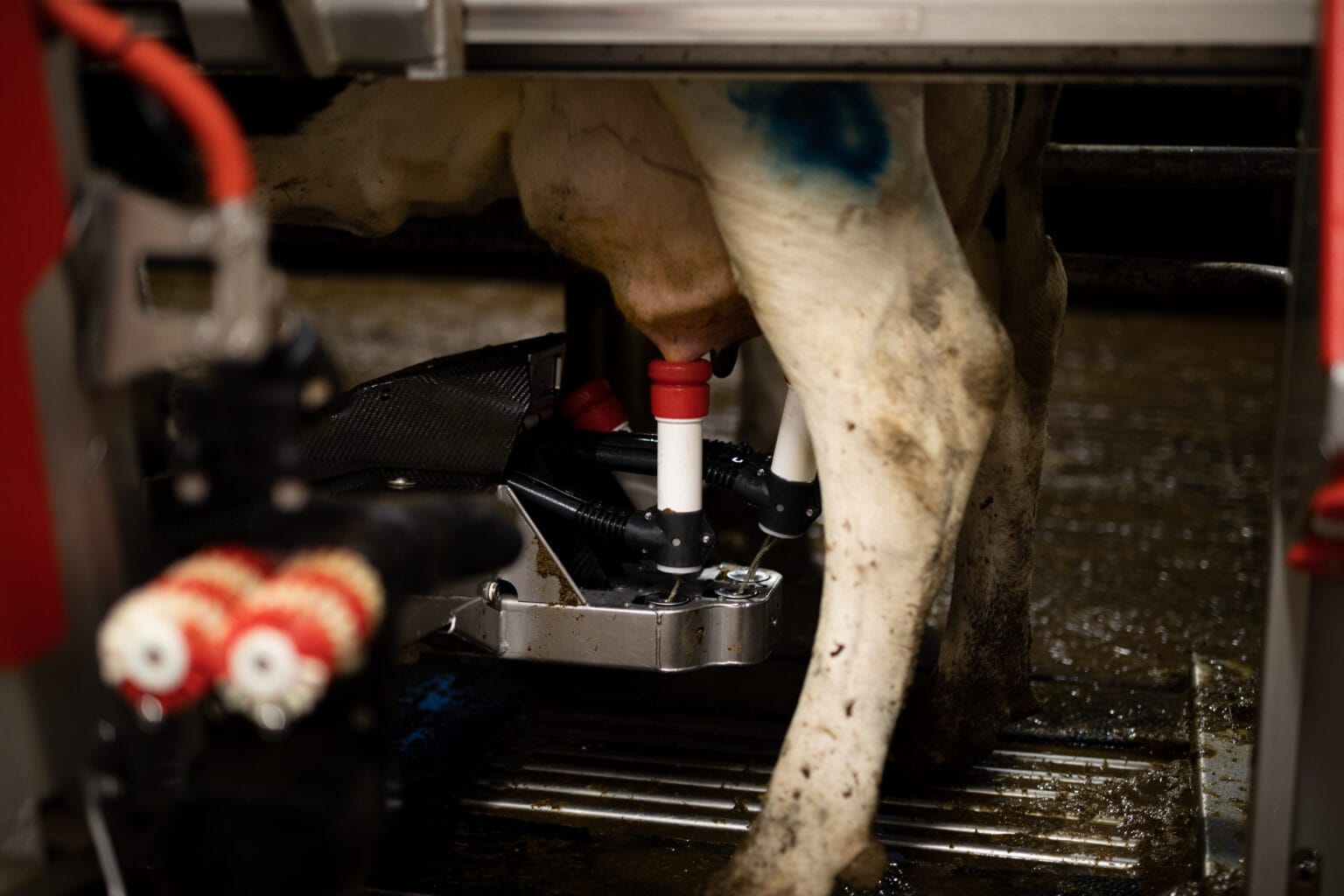 BSc (Hons) Sustainable Agriculture Top-up | University Centre Reaseheath