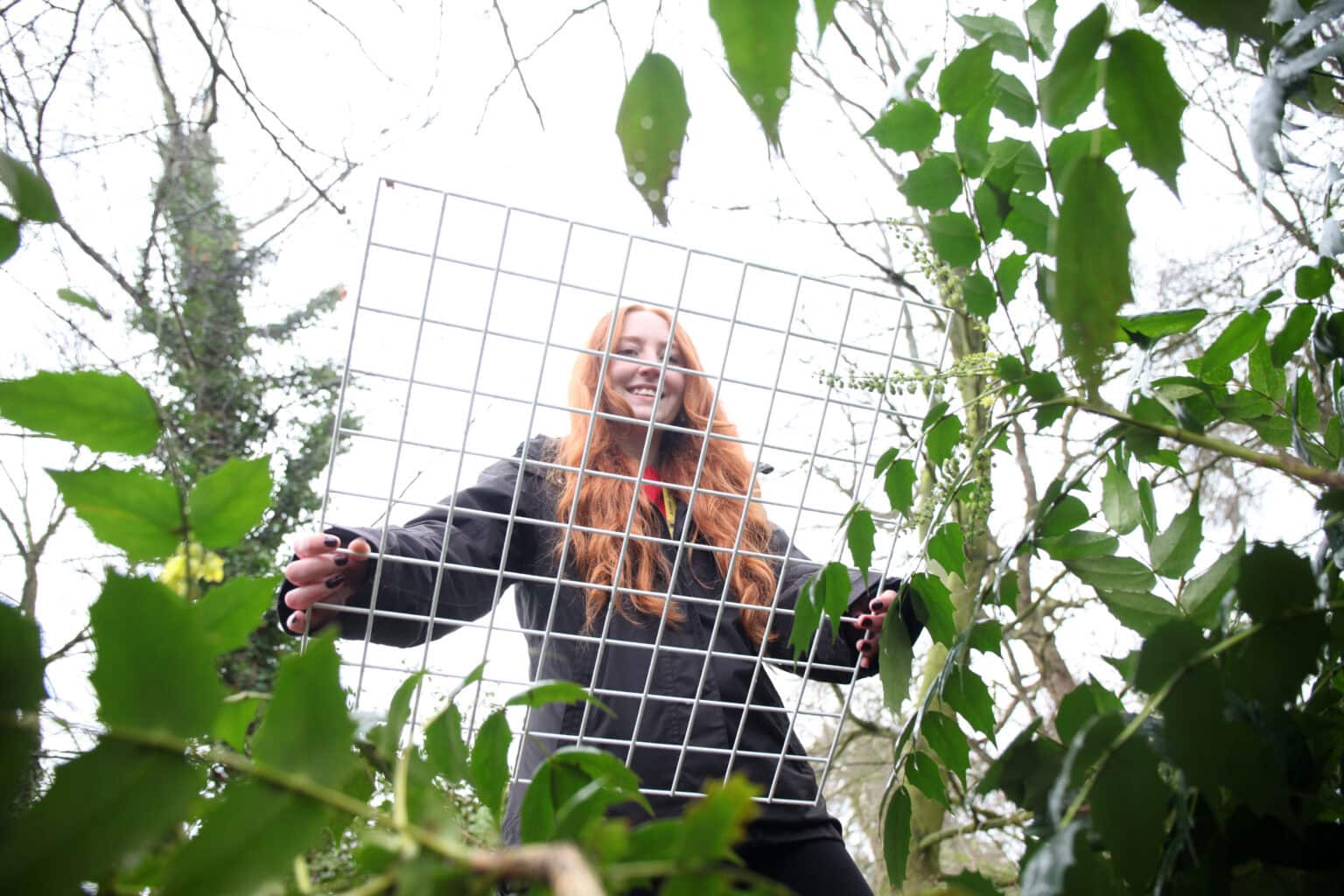 Access to Higher Education Diploma (Land Based Studies) | University Centre Reaseheath