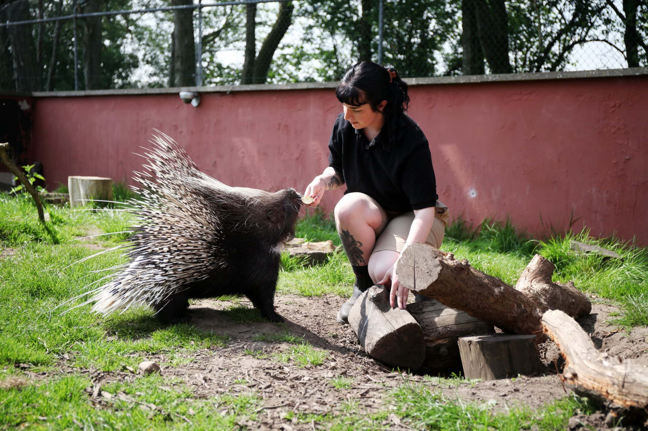 BSc (Hons) in Applied Zoology | University Centre Reaseheath