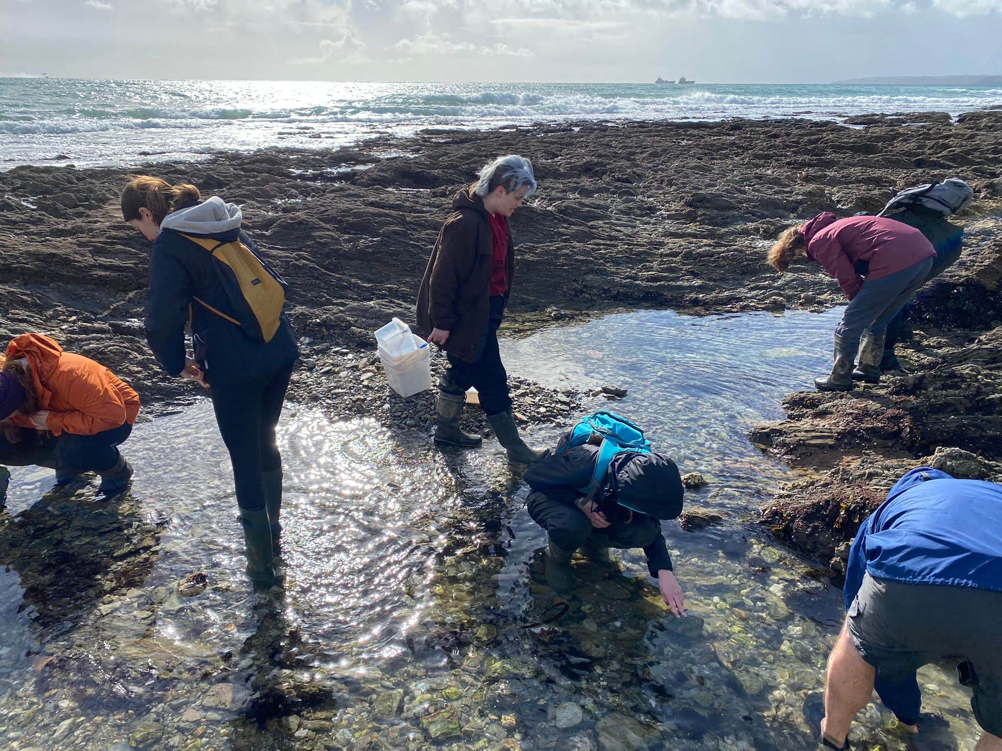 Conservation and Animal Science undergraduates hone ecological survey ...