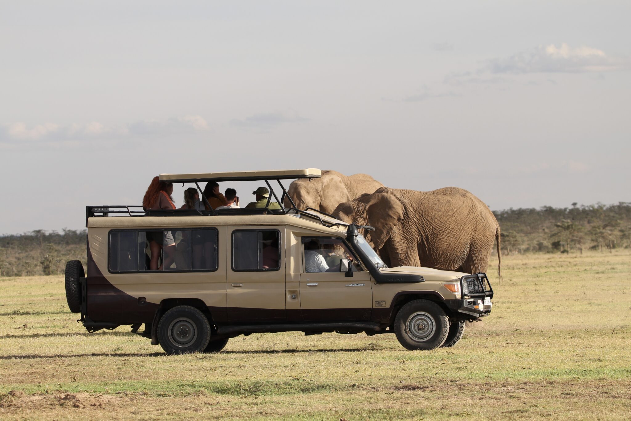 BSc (Hons) in Applied Zoology | University Centre Reaseheath