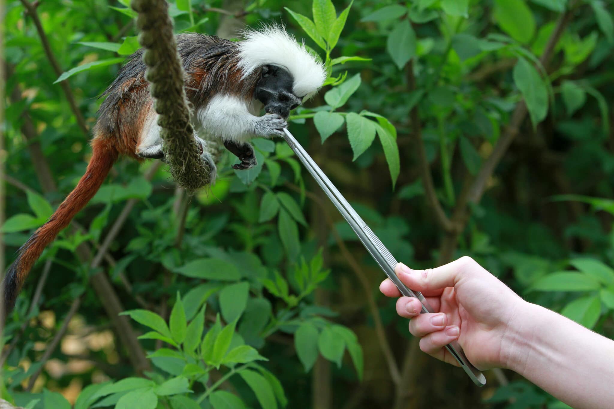 Cert HE Zoo Management - University Centre Reaseheath