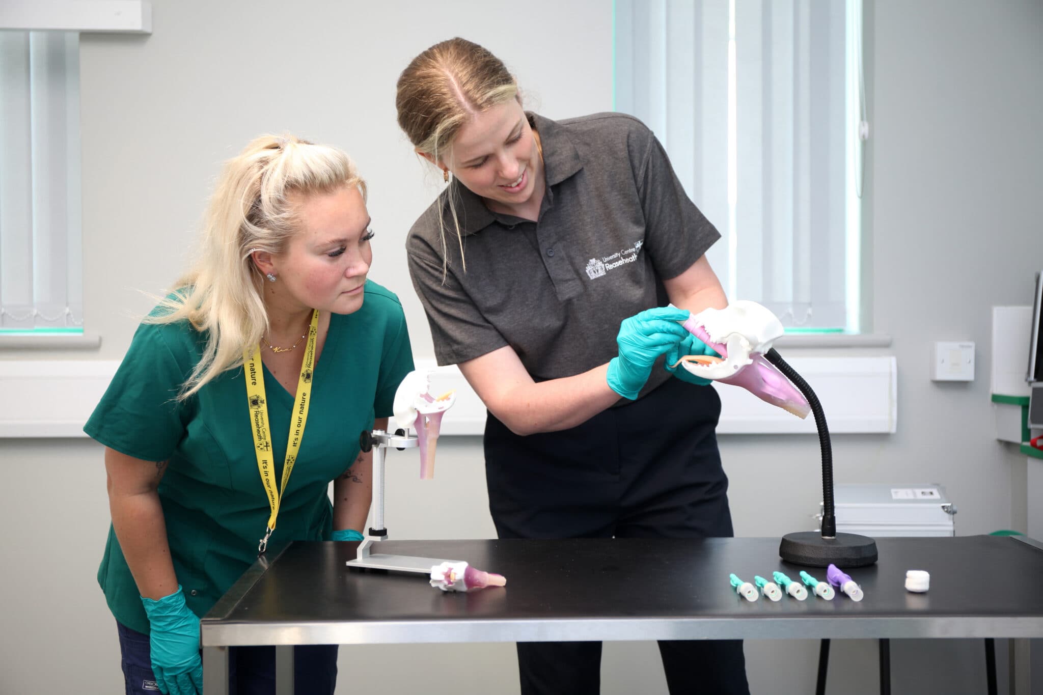 University Centre Reaseheath pioneers new veterinary practical exam - University Centre Reaseheath