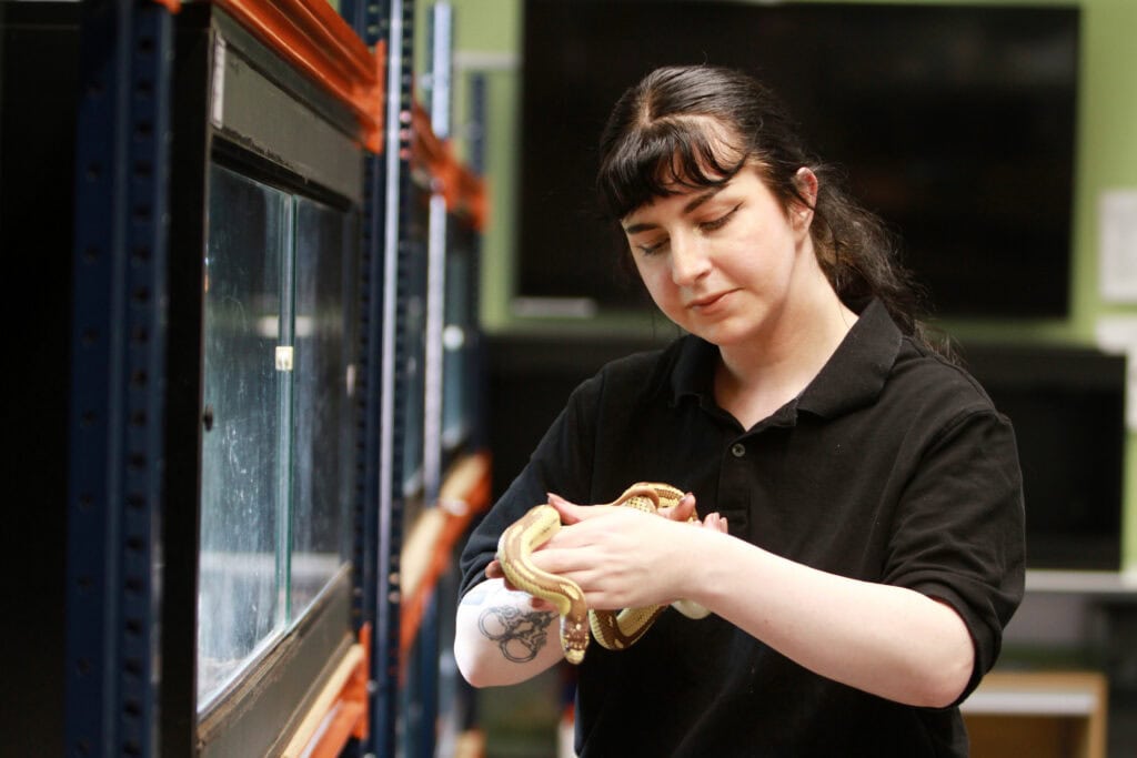 Access to Higher Education Diploma (Veterinary Science) - University Centre Reaseheath