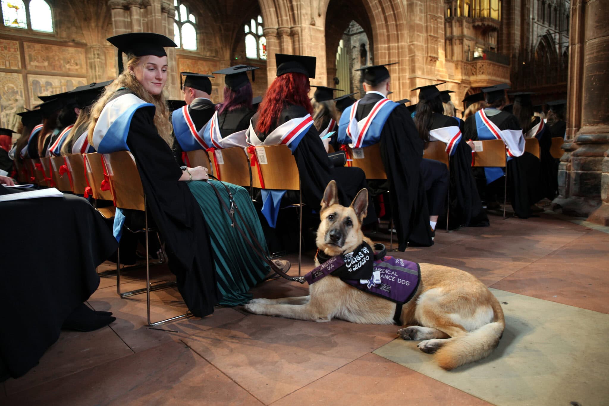 Seeing dogs differently helps graduate turn personal bond with canines into research ...